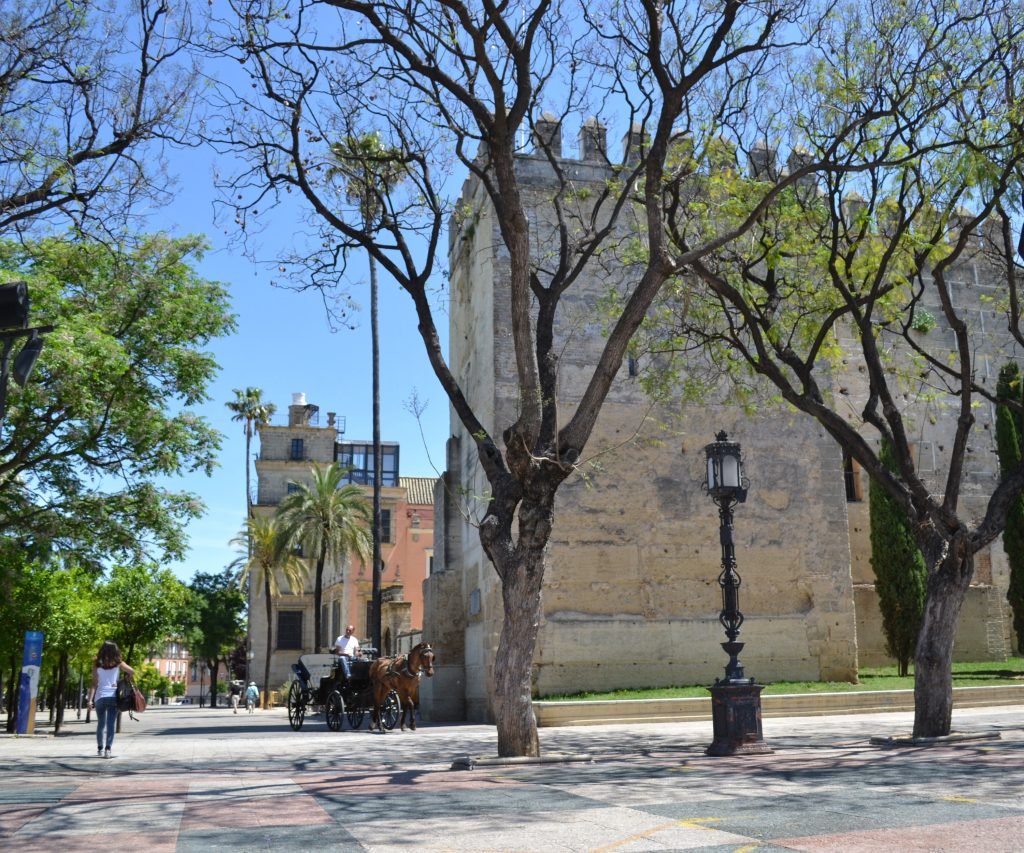 Why You Should Visit Spain's Sherry Region