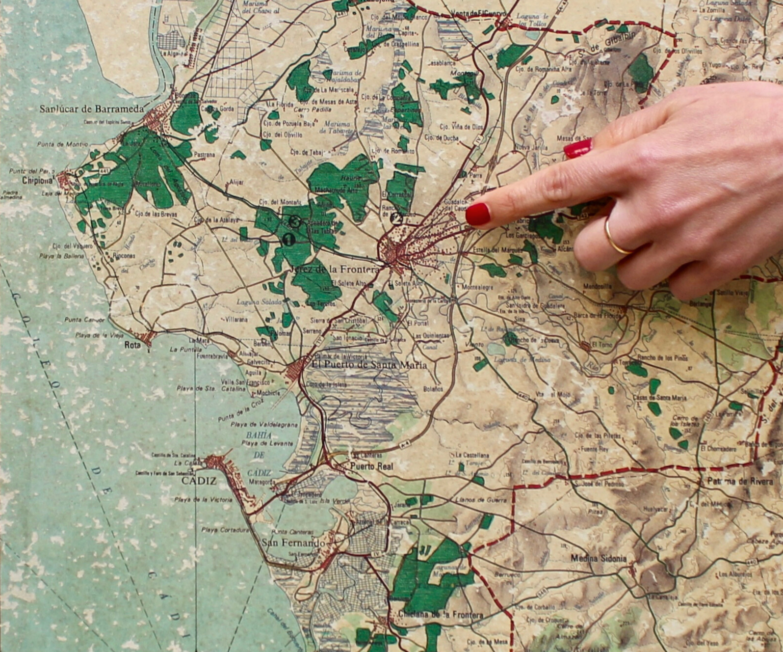 Why You Should Visit Spain's Sherry Region